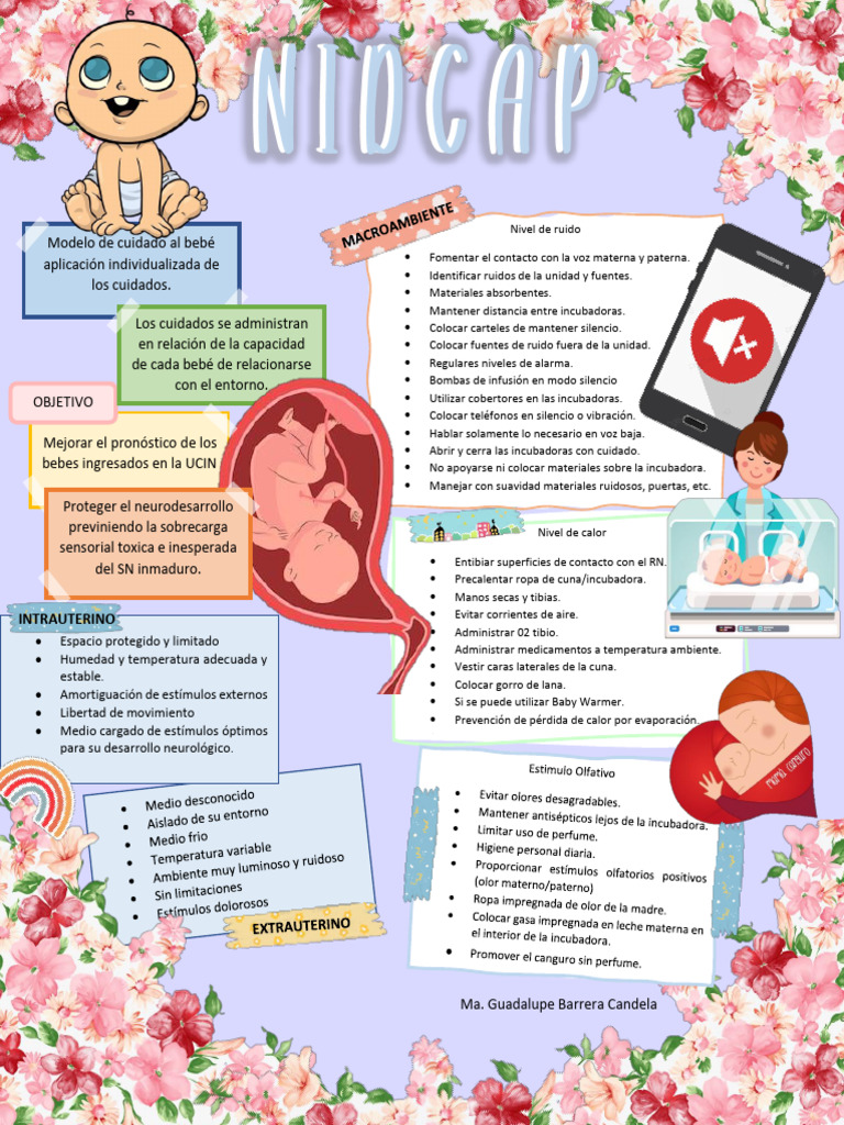 NIDCAP | Descargar gratis PDF | Unidad de cuidado intensivo neonatal