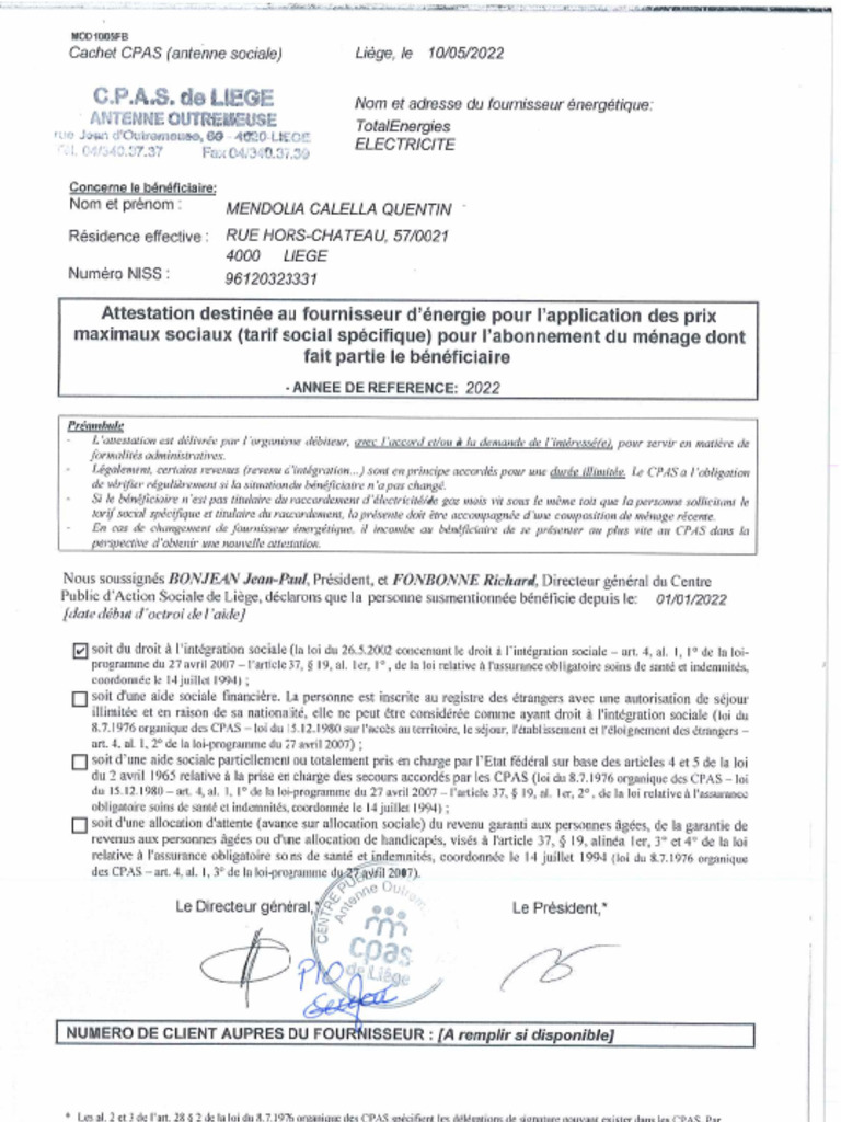 Cpas Attestation | PDF