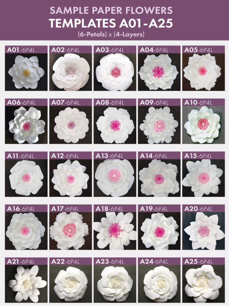 Sample Flowers A01 A50 4L6P | PDF