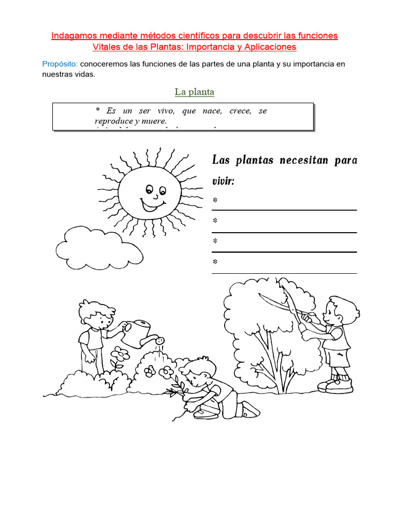 Fichas de Las Plantas para Niños | PDF