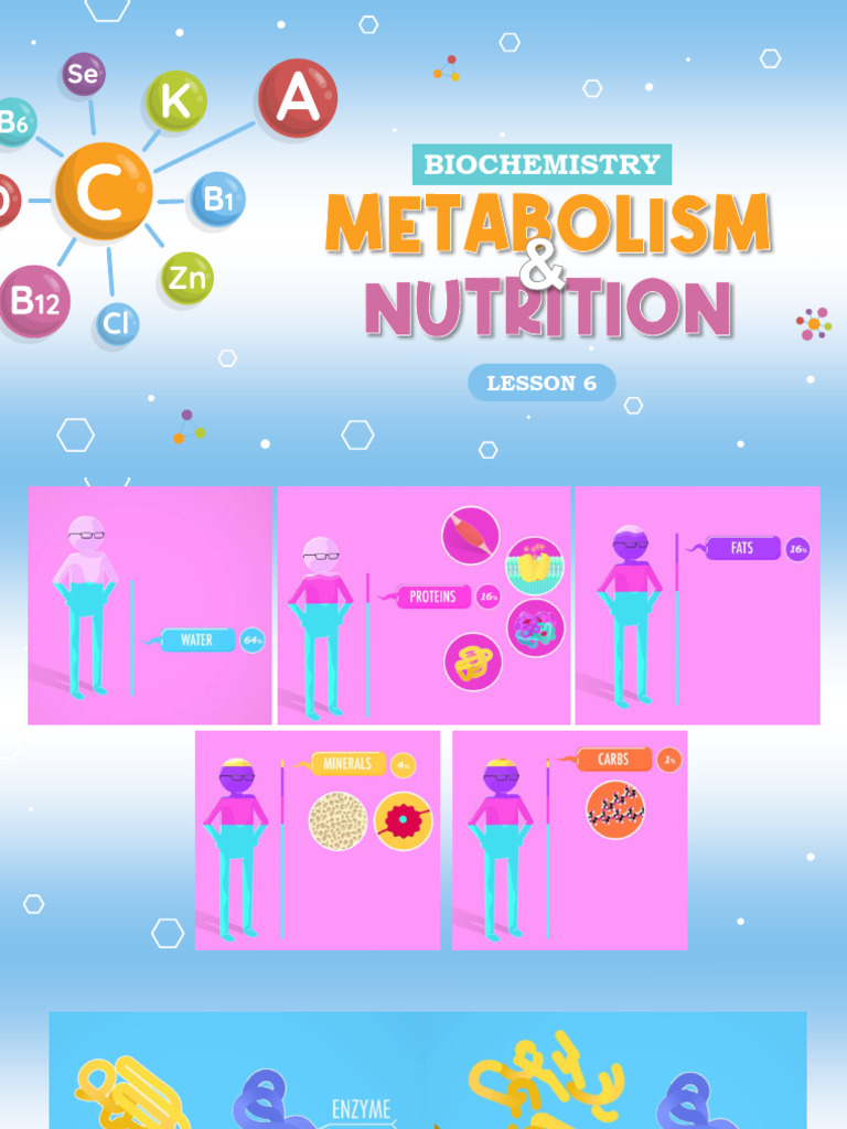 6 - Metabolism and Nutrition | PDF