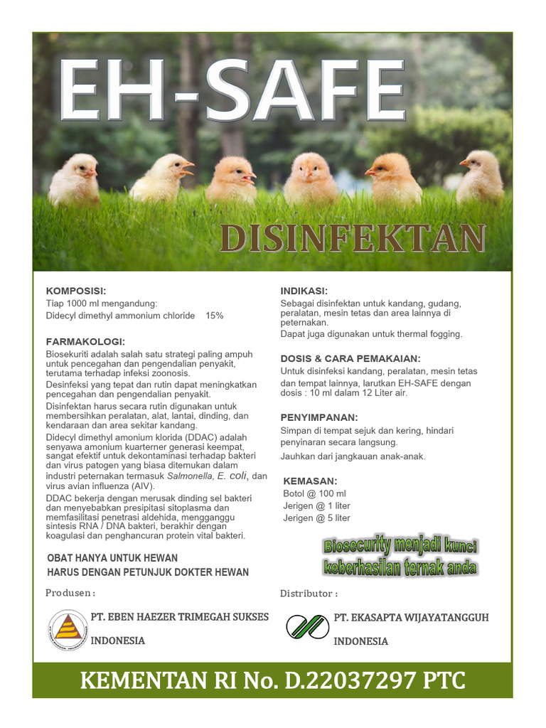Brosur Eh-Safe | PDF