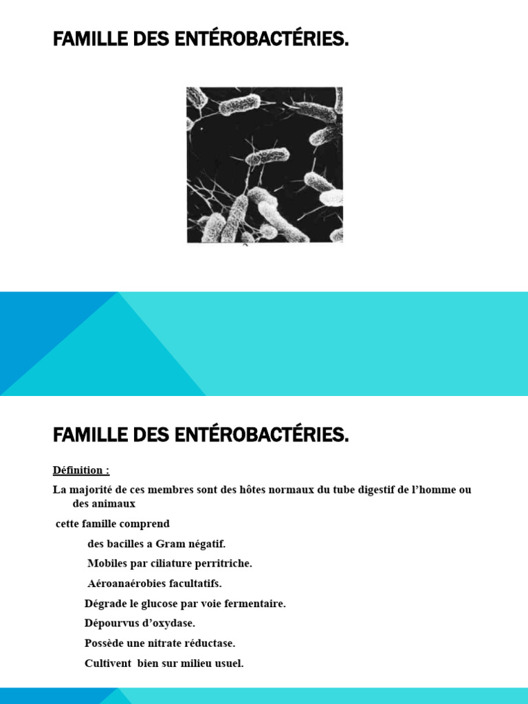 Enter Ob Acte Ries | PDF | Salmonelle | Biologie
