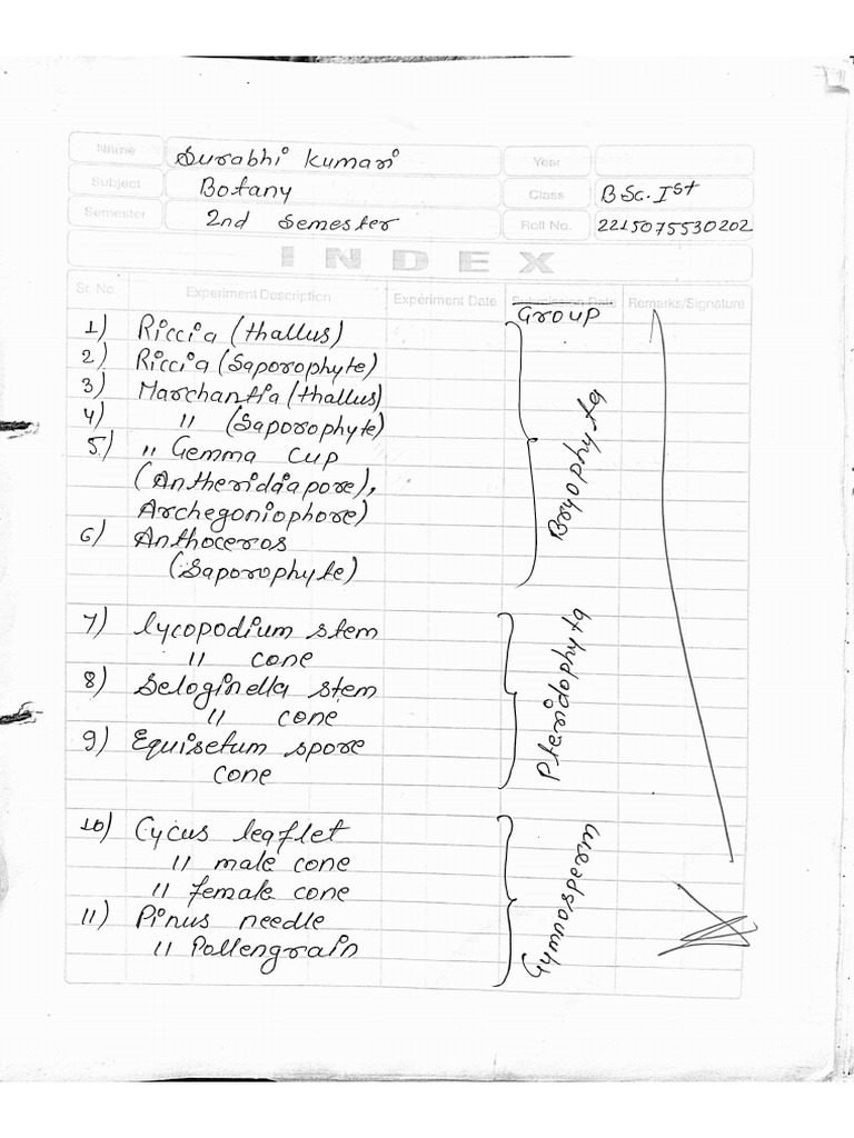 Botany Sem 2 Practical File Pdf