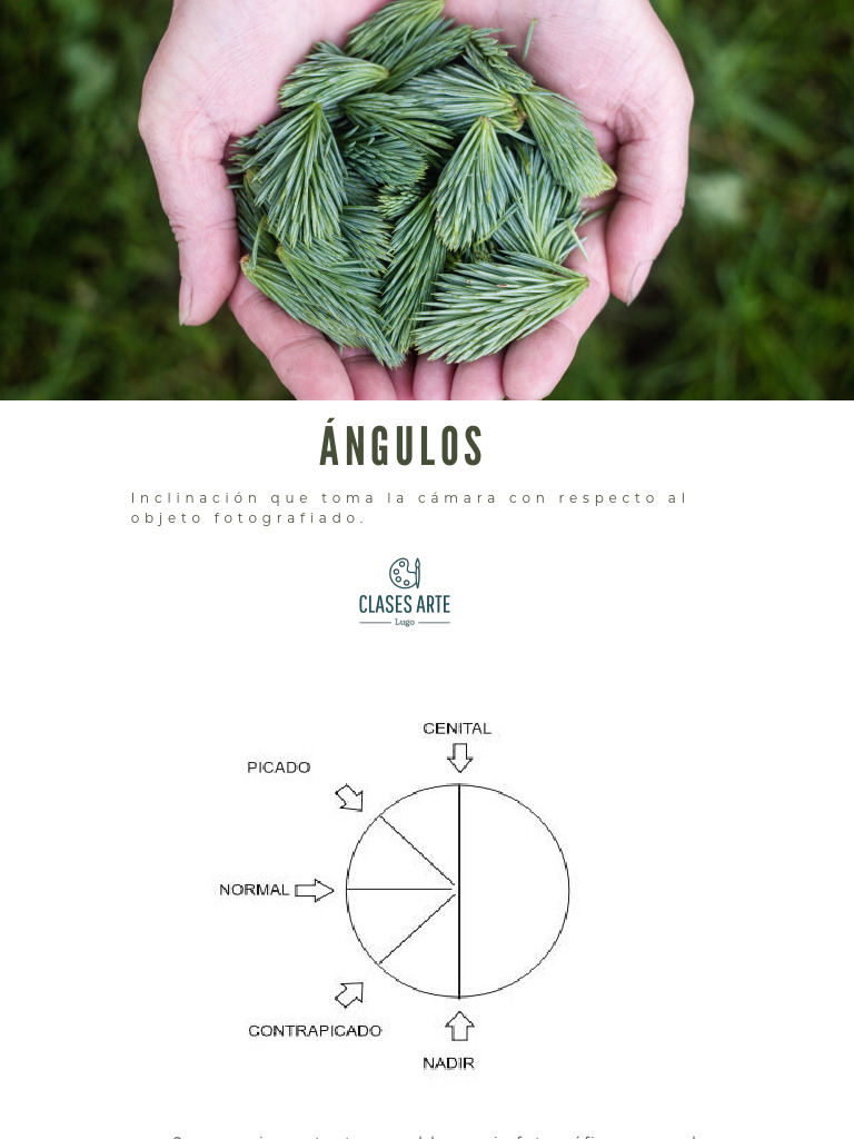 Importancia del Ángulo Normal en Fotografía | PDF | Cámara | Imagen