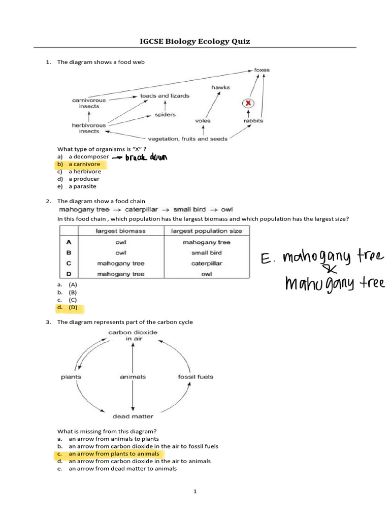 IGCSE Biology Ecology Quiz | PDF | Food Web | Foods