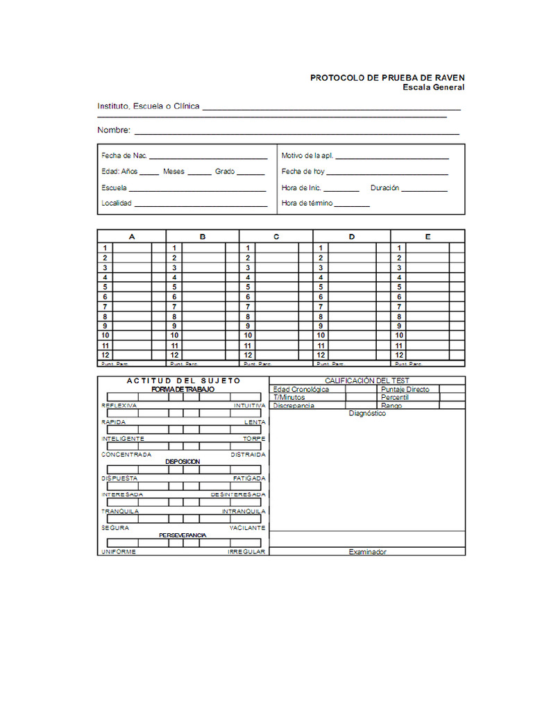 Raven General Protocolo y Correccion Ok | PDF