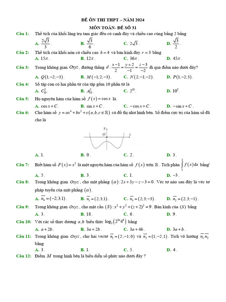 DT12 2024 DE 31 HDG Trang | PDF