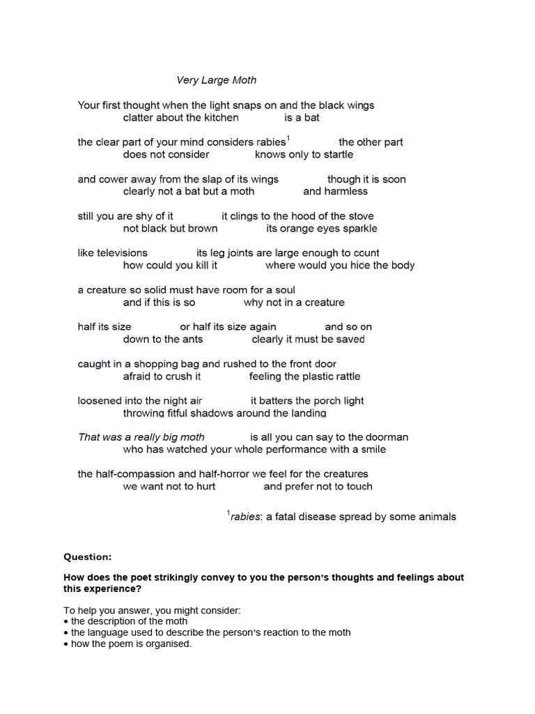 Very Large Moth | PDF | Language Arts & Discipline | General Fiction