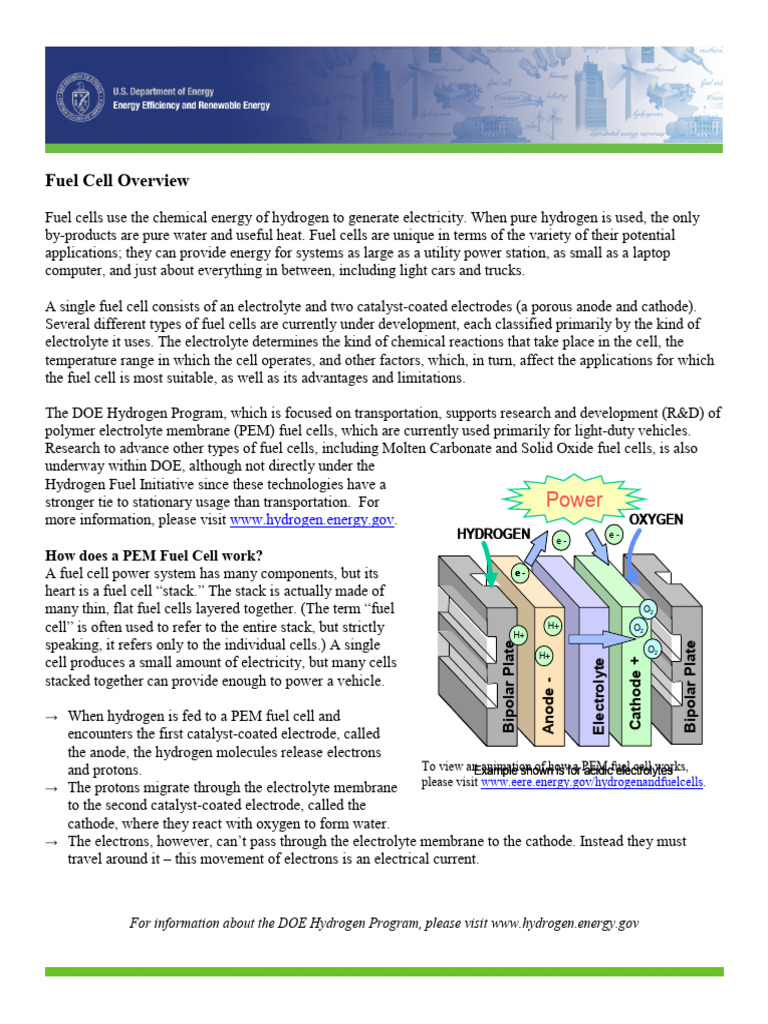 Fuel Cell Facts | PDF | Fuel Cell | Materials
