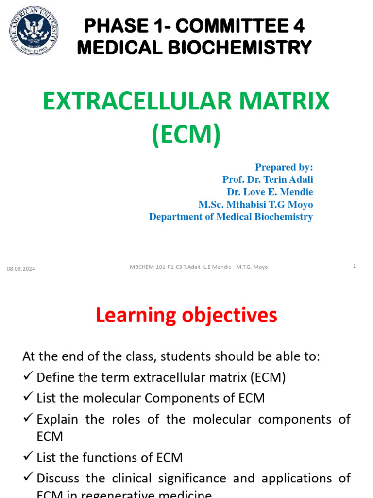 Extracellular Matrix (Ecm) | PDF | Extracellular Matrix | Life Sciences