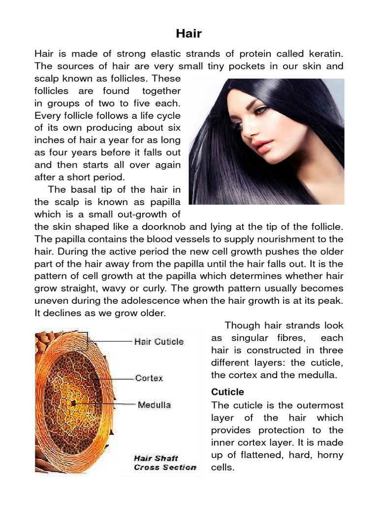 Hair Download Free Pdf Shaving Hair