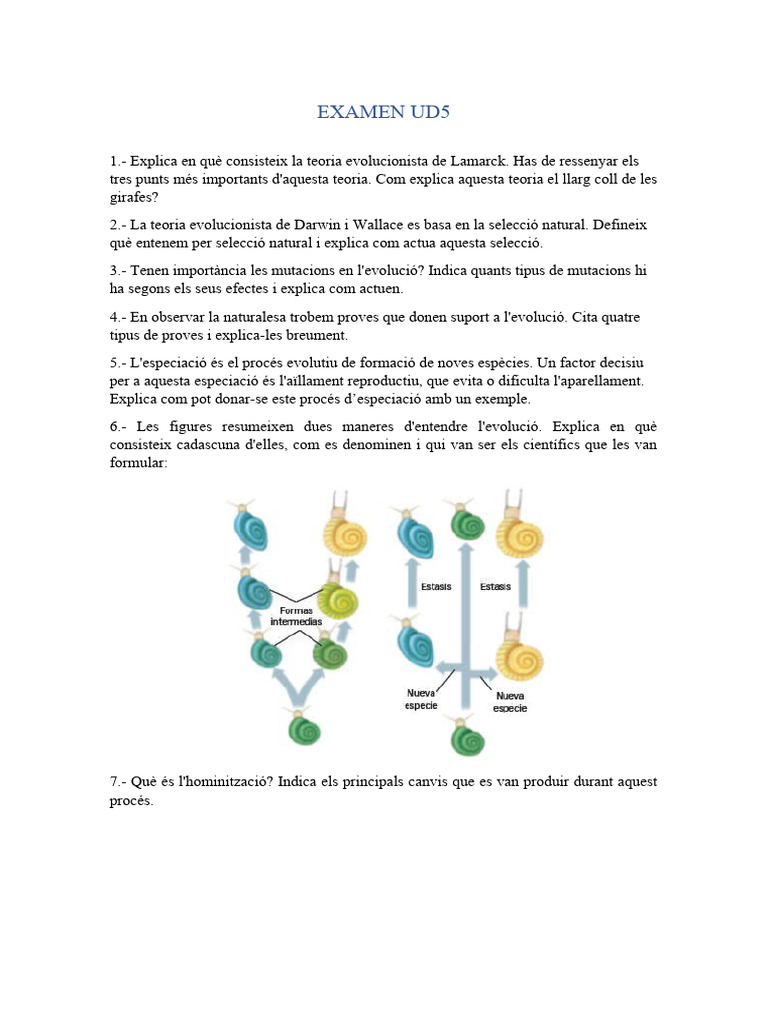 Examen Ud5 | PDF