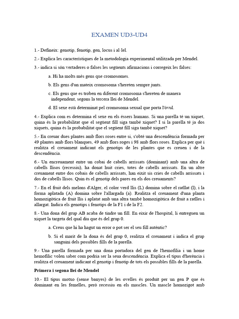 Examen Ud3-Ud4 | PDF