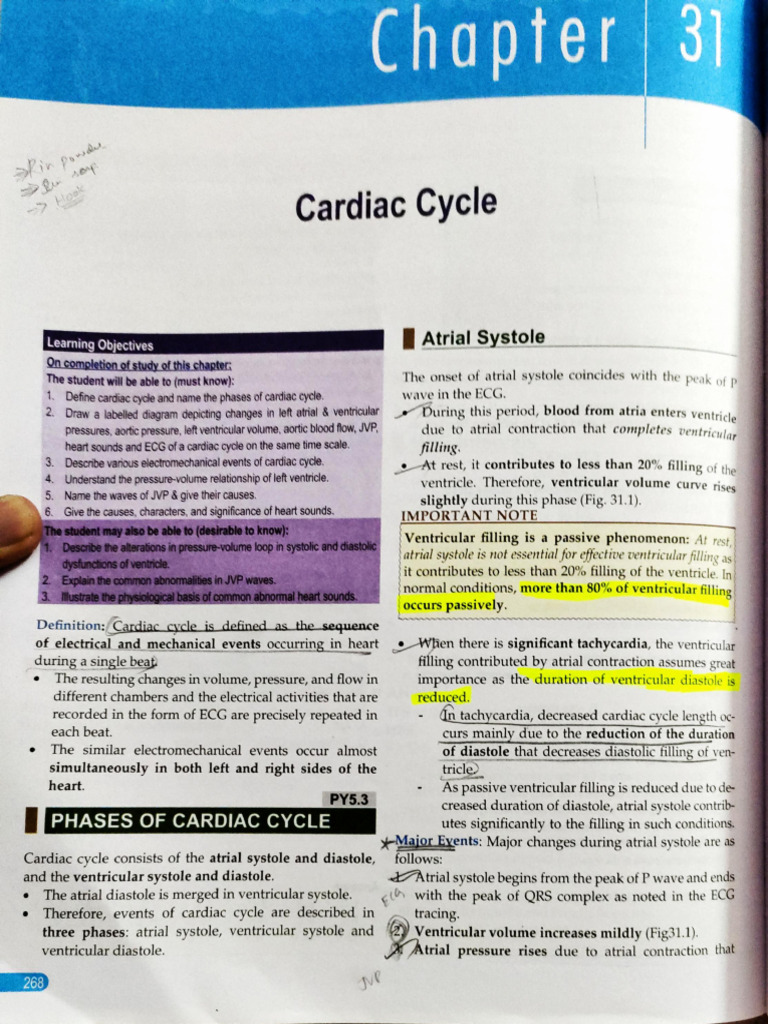 Cardiac Cycle | PDF