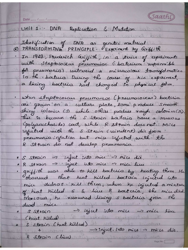 Dna Replication | PDF