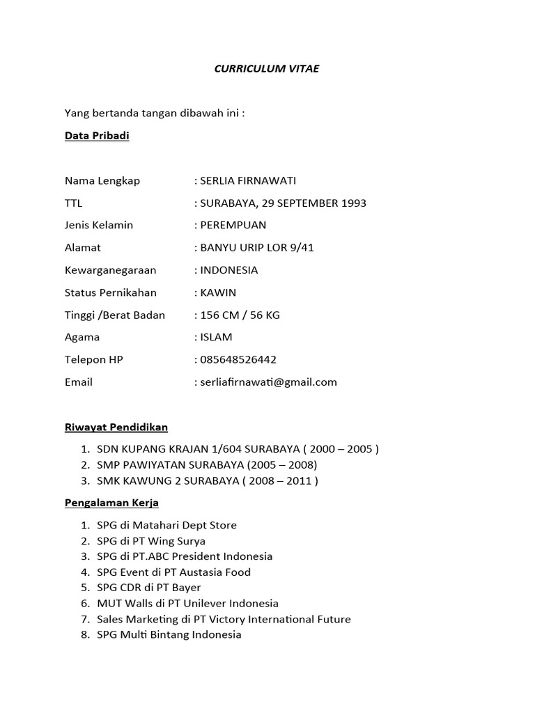 CURRICULUM VITAE Serli | PDF