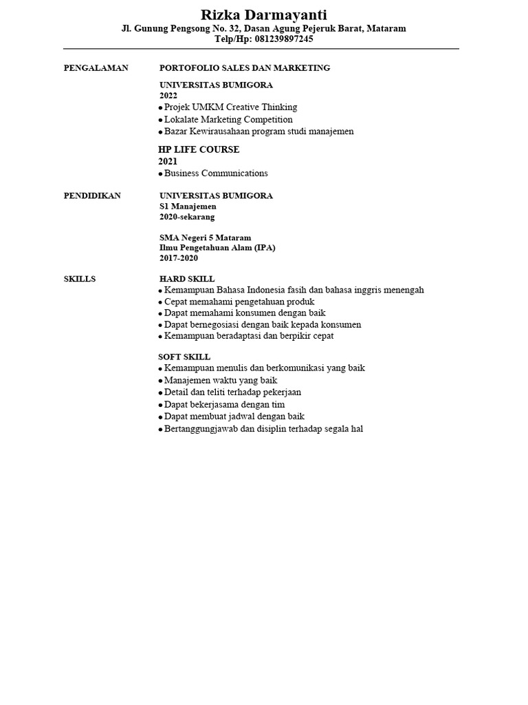 Contoh Portofolio Sales dan Marketing | PDF