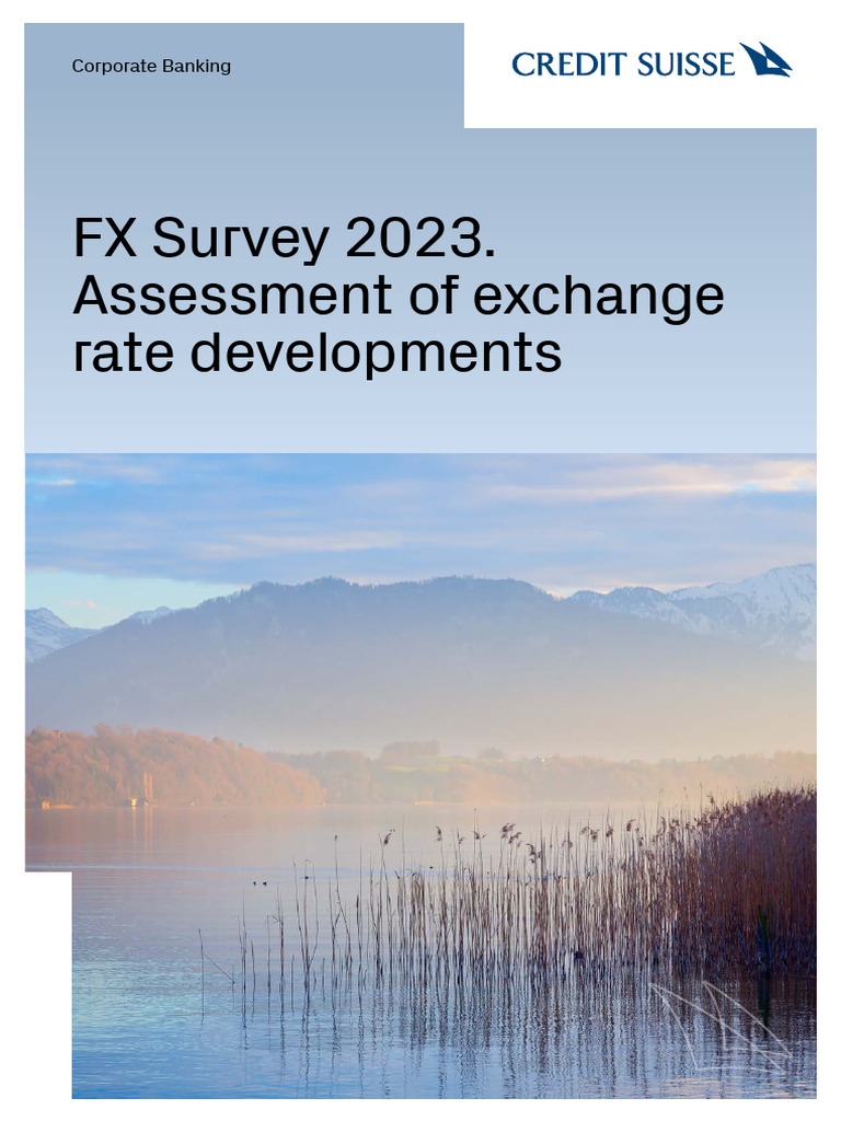FX Study 2023 en | PDF | Foreign Exchange Market | Euro