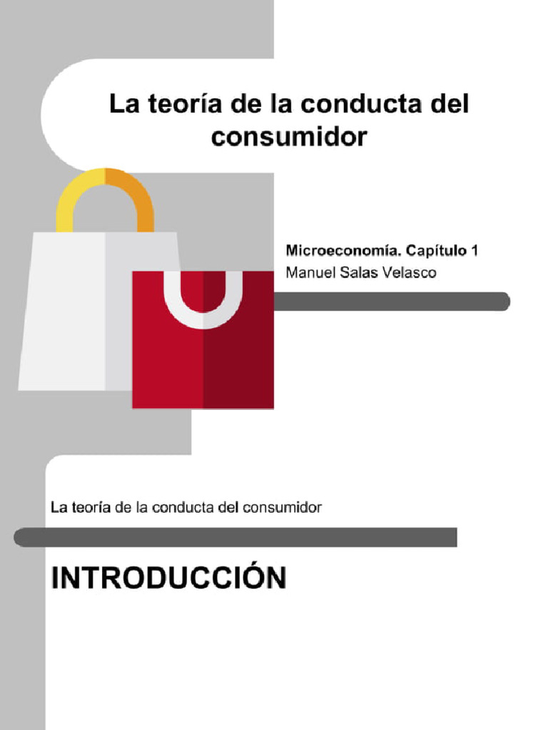LA TEORÍA DE LA CONDUCTA DEL CONSUMIDOR - 2b | PDF
