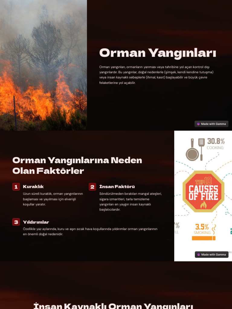 Orman-Yanginlari | PDF