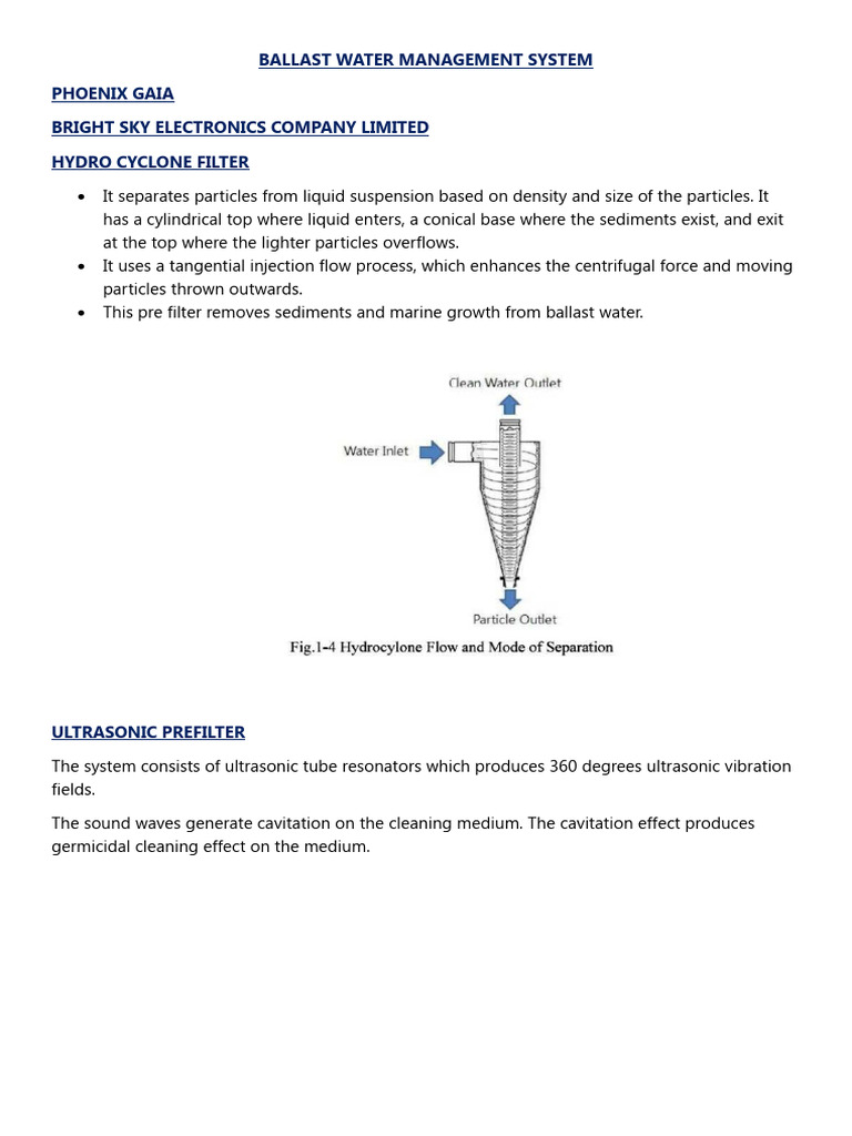 Ballast Water Management System | PDF | Ozone | Oxygen