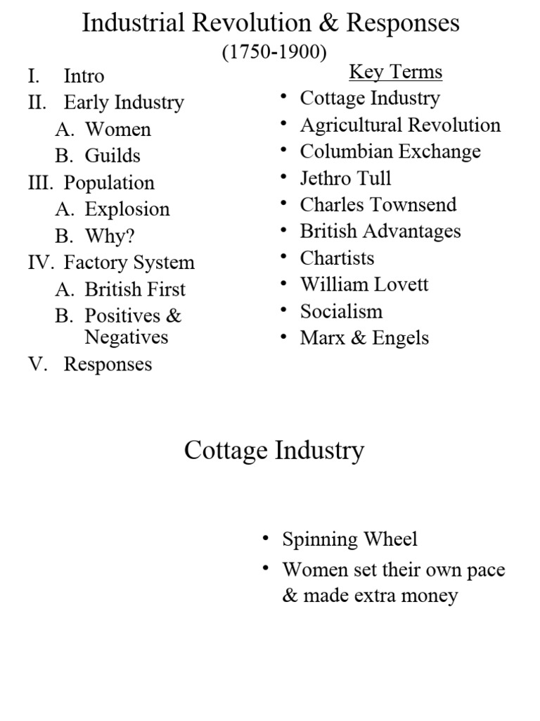 Industrial Revolution | PDF | Socialism | Industrial Revolution