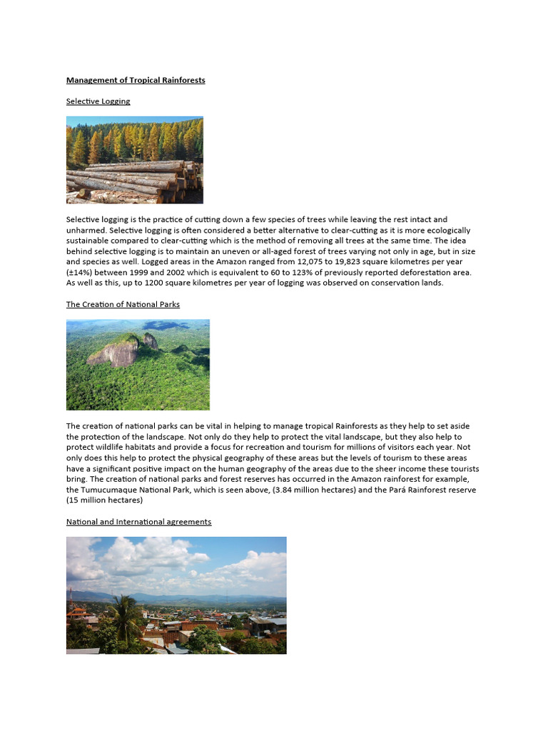 Selective Logging | PDF | Deforestation | Climate Change