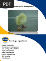 Agricultural Science Sba On Broiler | PDF | Chicken | Poultry Farming