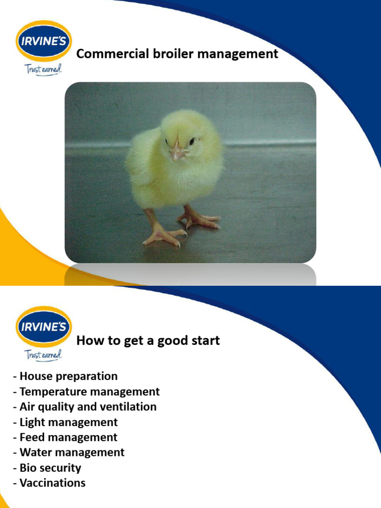 2018 Broiler Management Presentation Customer | PDF | Home & Garden