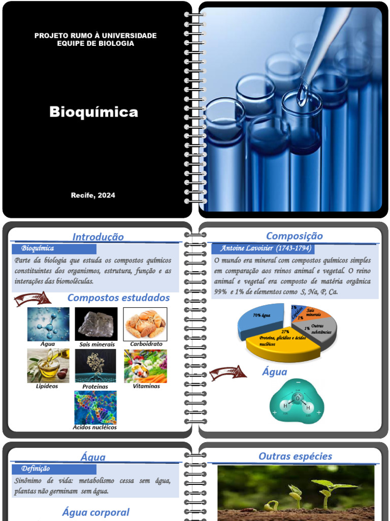 Bioquímica 2 | PDF | Lipídio | Aminoácido