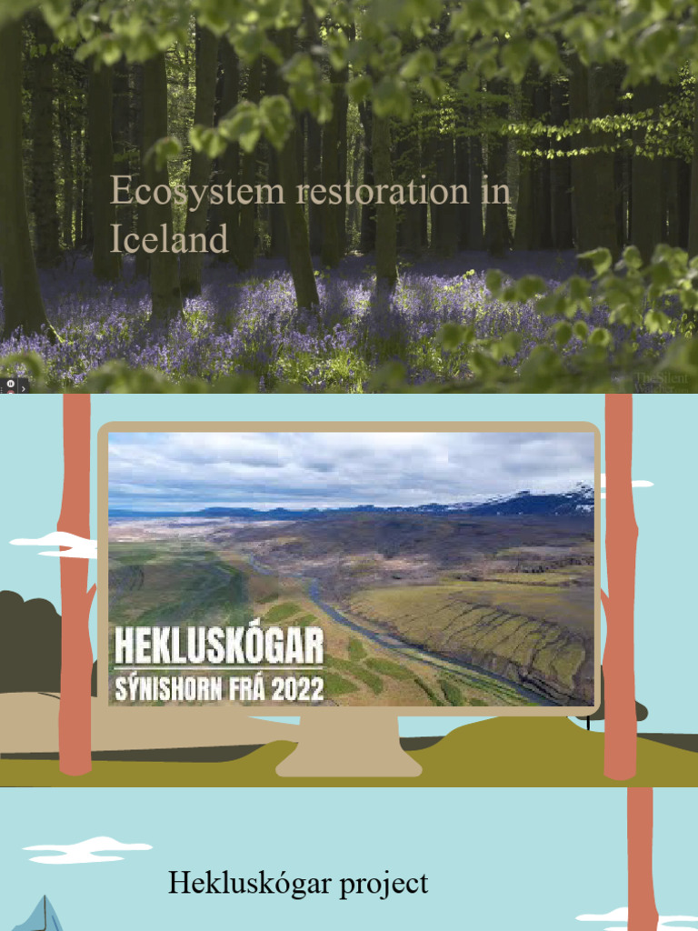 Ireland Facilitation Ecosystem | PDF | Carbon Sequestration ...