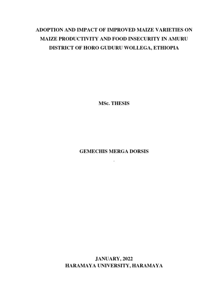 Gemechis Thesis Concluded For Submission | PDF | Food Security | Agriculture