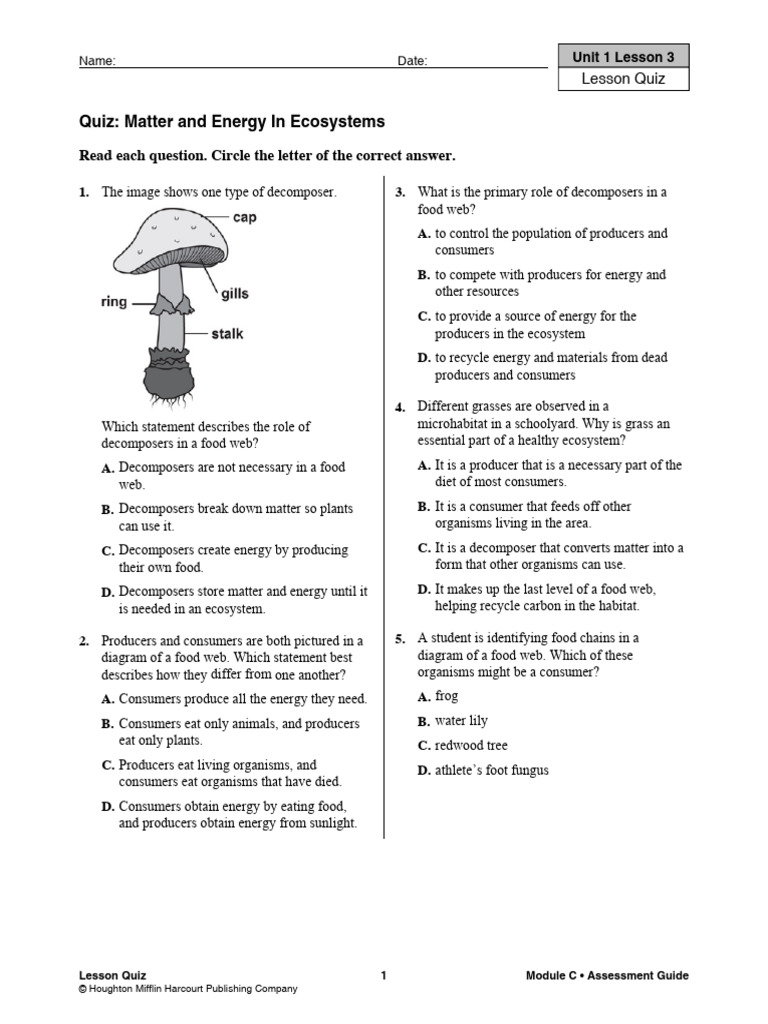 Quiz: Matter and Energy in Ecosystems: Read Each Question. Circle The ...