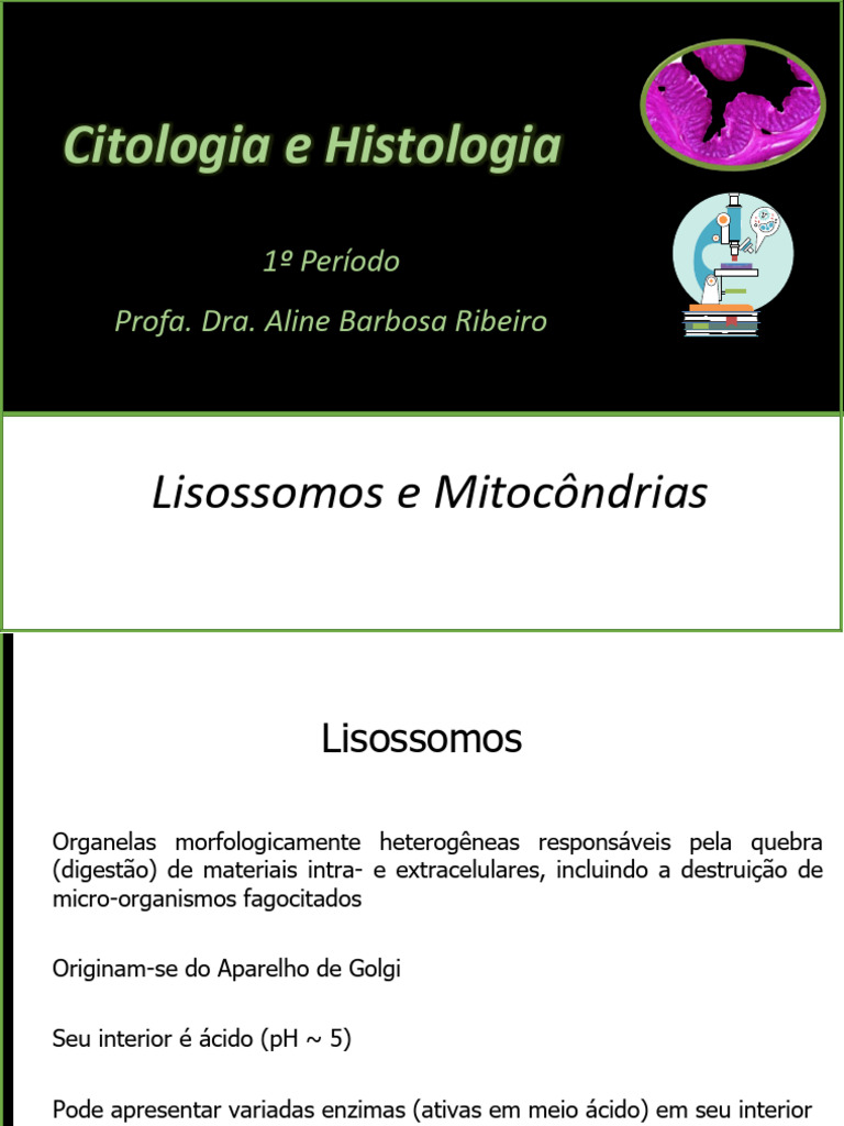 Aula 6 - Mitocôndrias e Lisossomos | PDF | Lisossoma | Mitocôndria