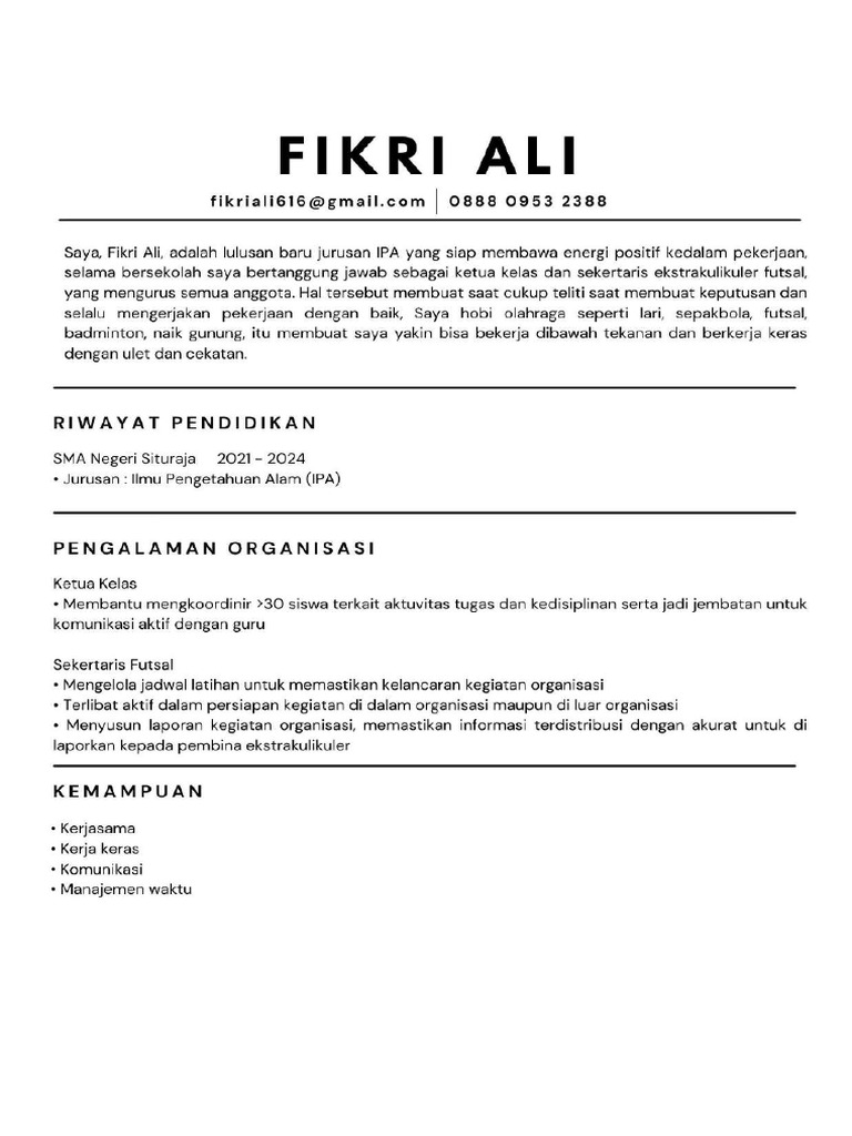 White Gold Elegant Minimalist Data Analyst Resume CV A4 Printable (1) | PDF