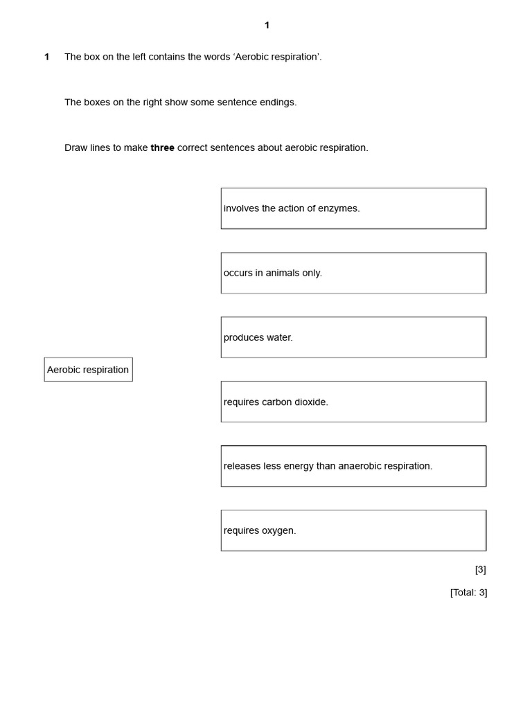 Biology Revision Respiration | PDF | Breathing | Cellular Respiration