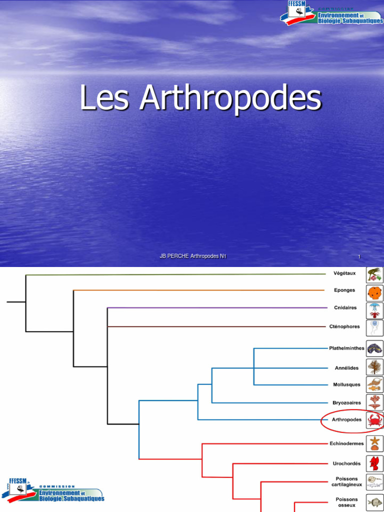 Crustacés et leur diversité biologique | PDF | Crustacé | Arthropodes