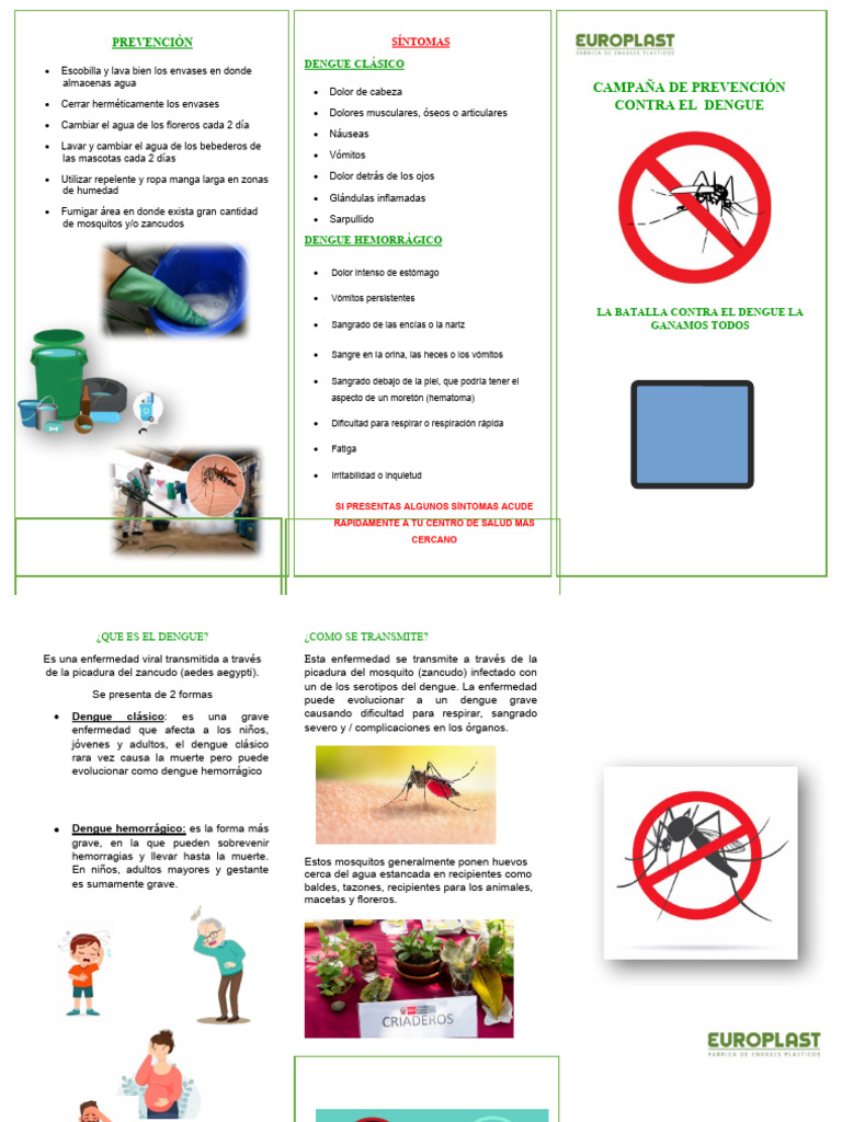 Triptico Dengue 1 | Descargar gratis PDF | Inmunología | Enfermedades y ... Triptico Dengue 1 | Descargar gratis PDF | Inmunología | Enfermedades y ...