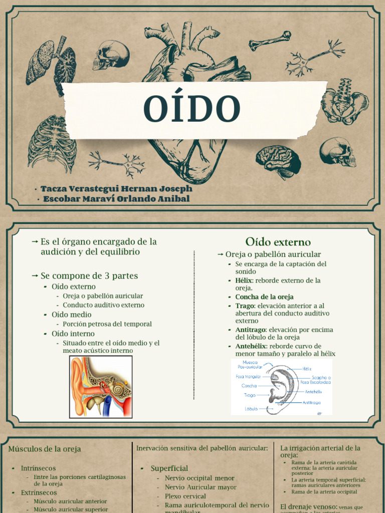 Oido Escobar y Tacza | PDF