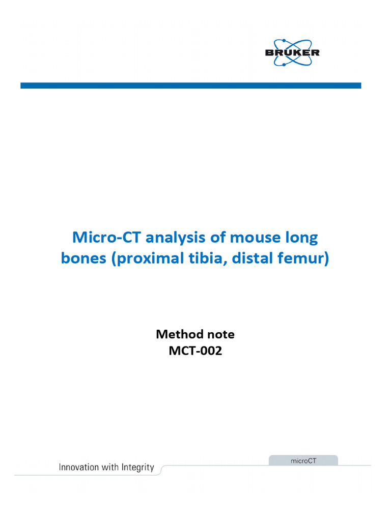 mn002 - Bone Microct Analysis Mouse | PDF | Image Resolution | Bone