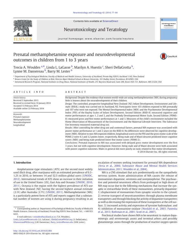 Prenatal Methamphetamine Exposure | PDF | Prenatal Development ...