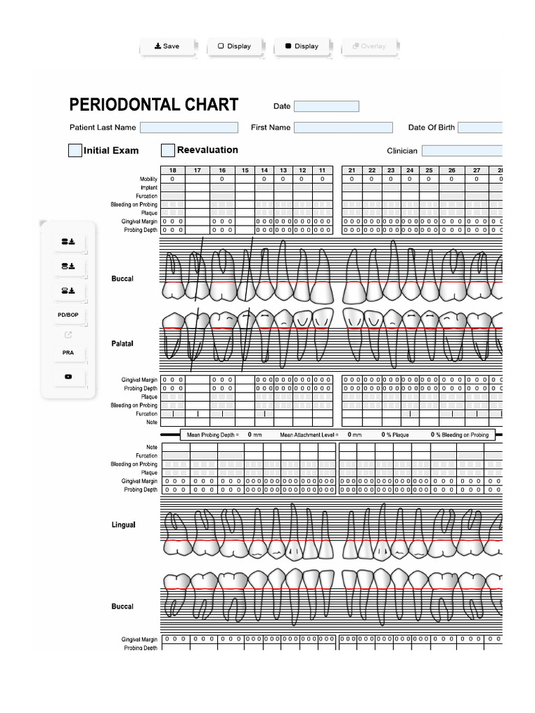Periodontal Chart Online - WWW - Perio-Tools - Com 4 | PDF