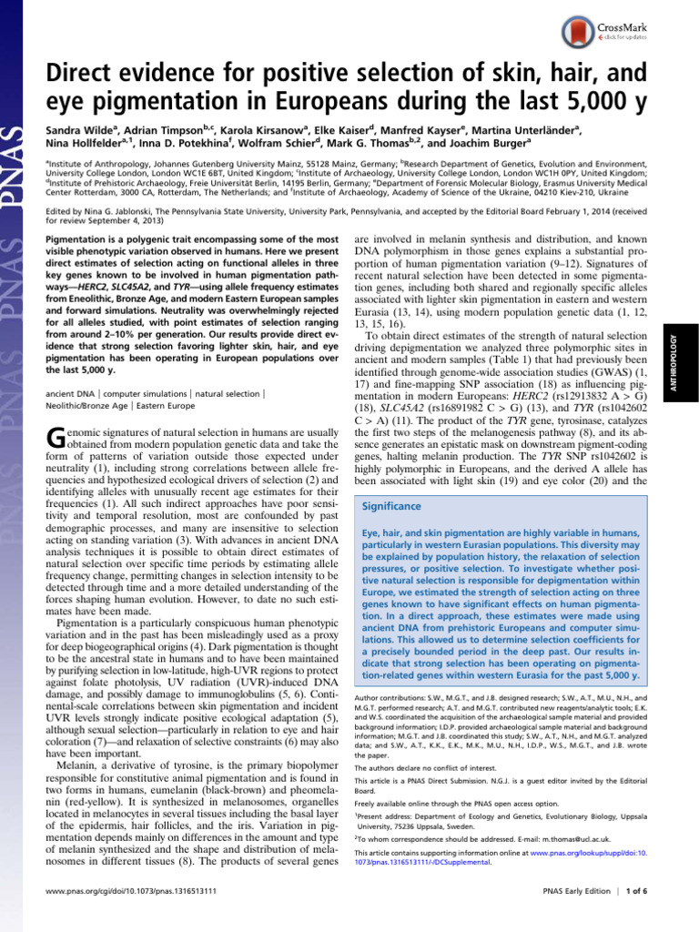 PNAS 2014 Wilde | PDF | Single Nucleotide Polymorphism | Human Skin Color