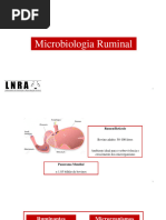 Mat. Estudos - Microbiota Ruminal - Nutrição de Ruminantes | PDF ...