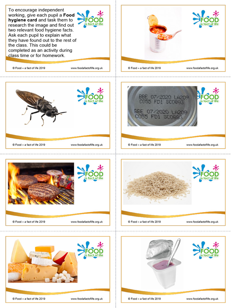 Food Hygiene Research Assignment | PDF | Social Science | Technology ...