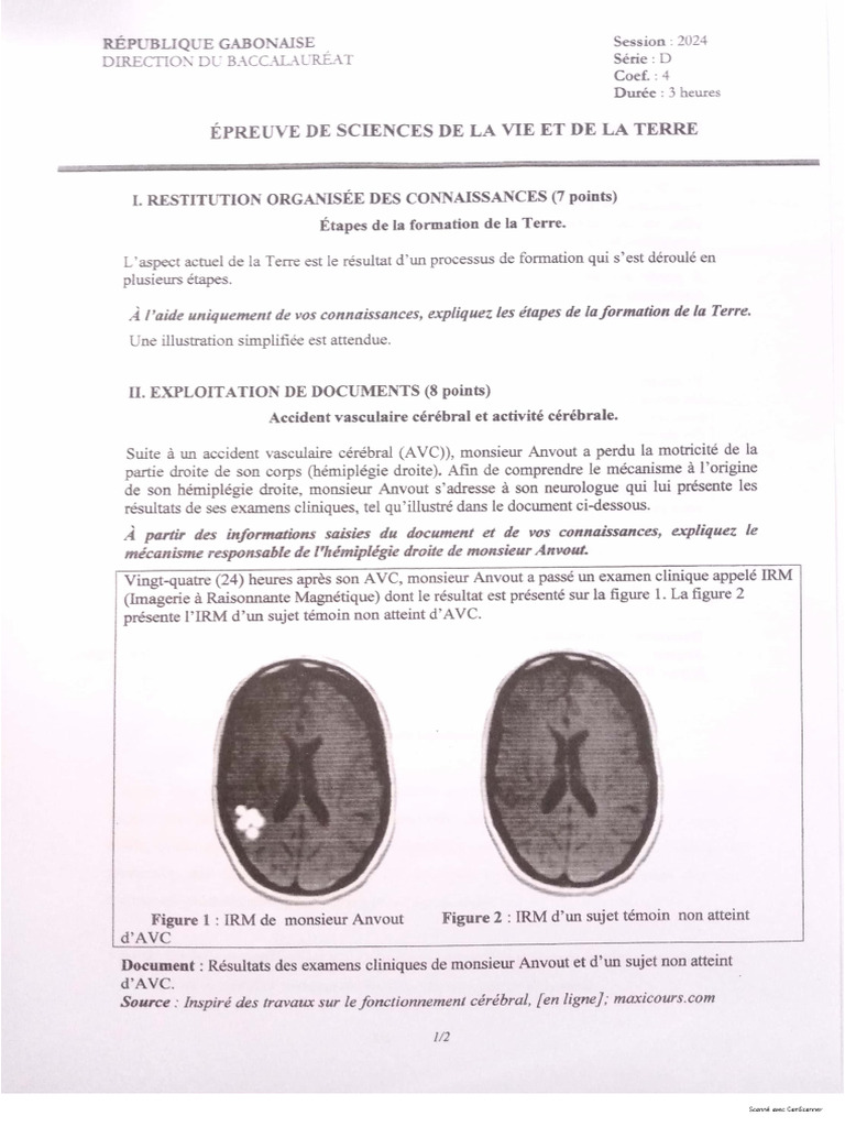 Sujets SVT Bac 2024 | PDF