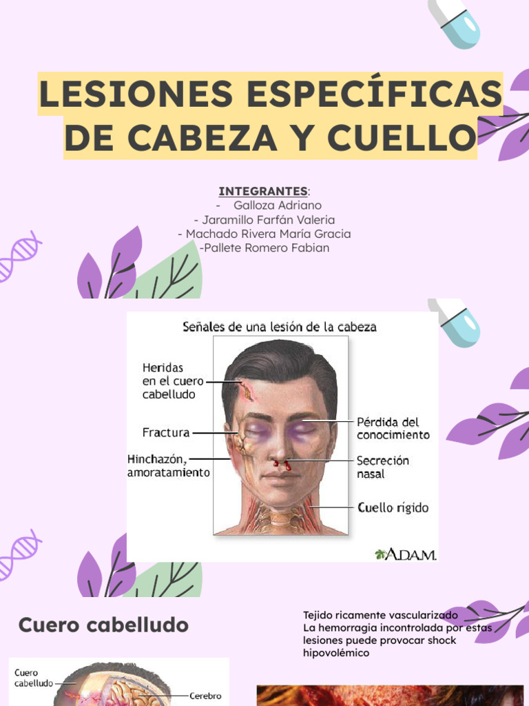LESIONES DE CABEZA Y CUELLO - G8 | PDF | Cráneo | Especialidades Medicas