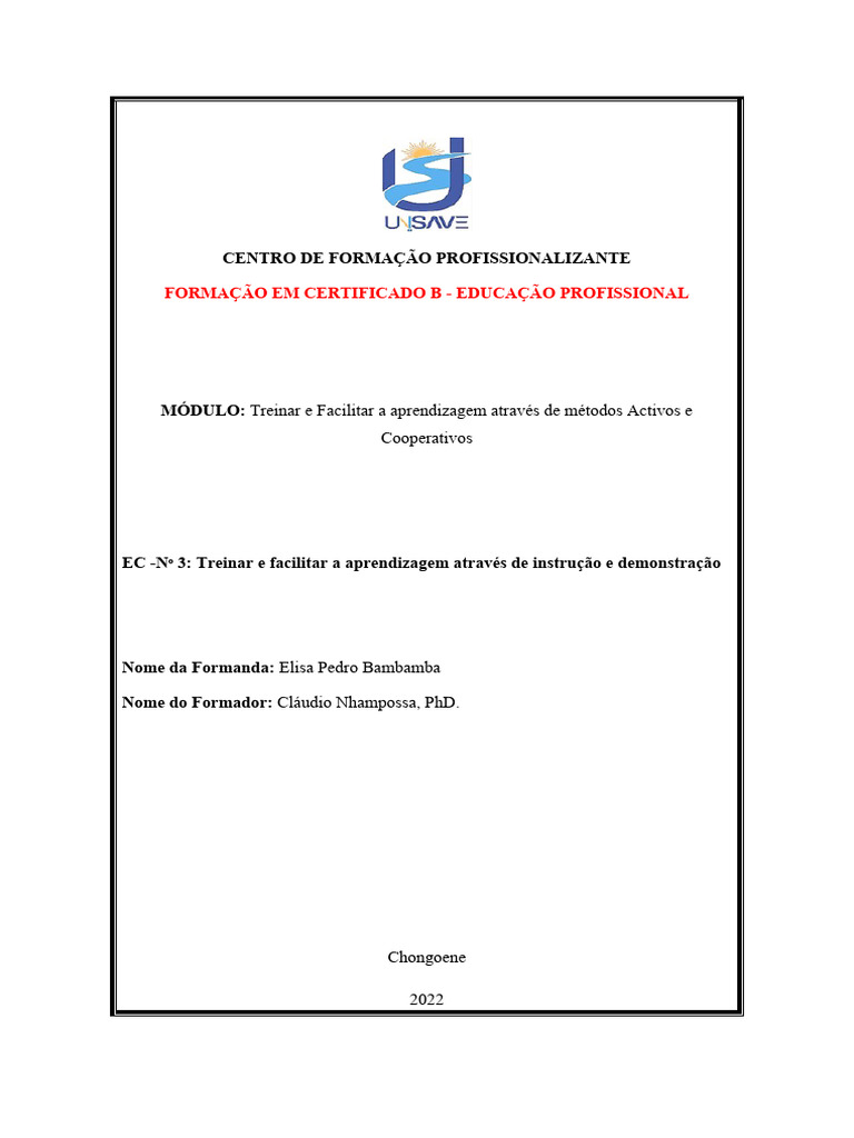 EC3. Elisa Pedro Bambamba-1 | PDF | Aprendizado | Desenvolvimento profissional