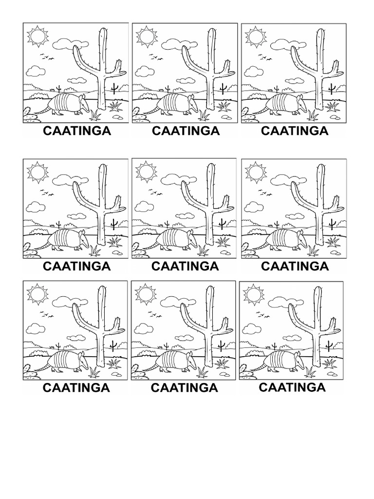 Caatinga Colorir | PDF